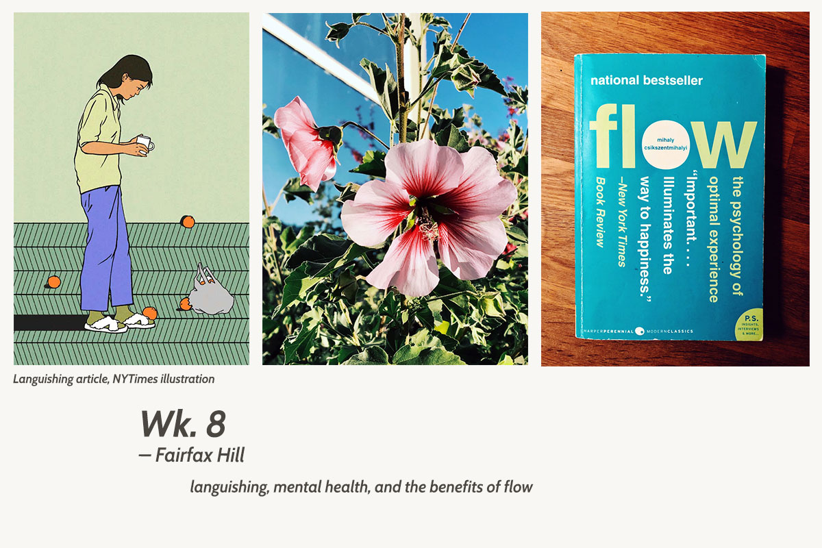 week 8: focus on mental health – Fairfax Hill